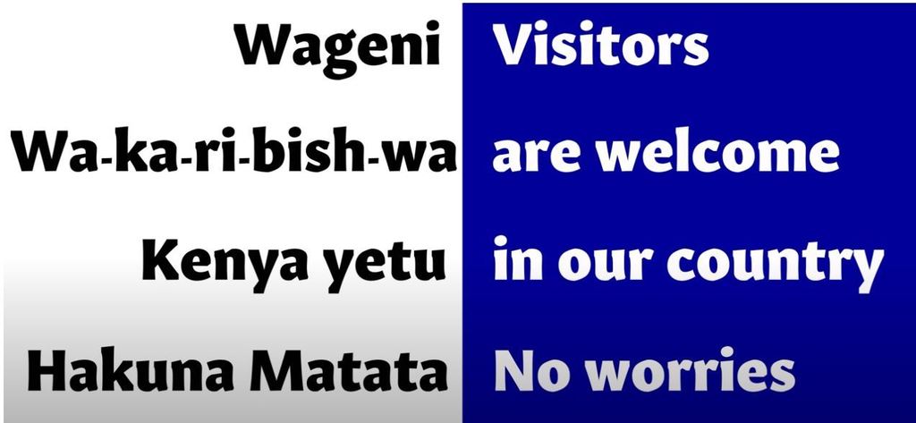 Live Feed | Intermediate School